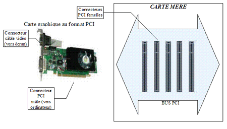 Site Atlantic: cours interactif gratuit "Comprendre le fonctionnement ...